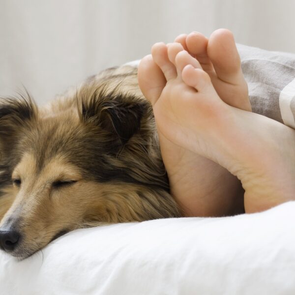 What the Misery Index Says About Inflation and Employment