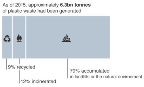 Spreading Sustainability With a Plastics-Free Supermarket Aisle
