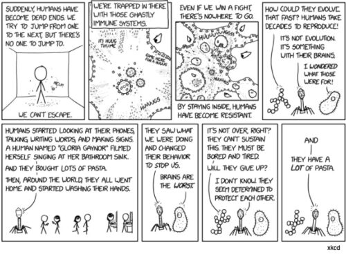 The Pasta Demand That is Filling Our Pandemic Pantries