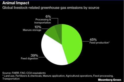 Methane Cow Emissions That a Mask Can Mitigate