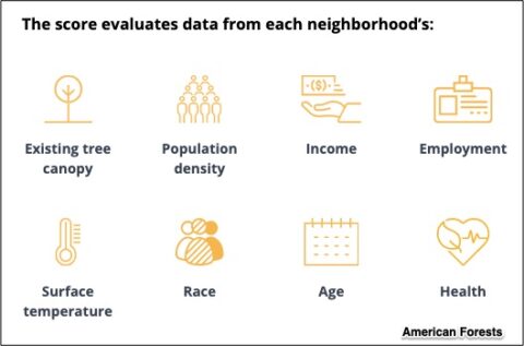 Why a Tree Equity Score Reflects Economic Inequality