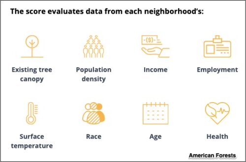 Why a Tree Equity Score Reflects Economic Inequality