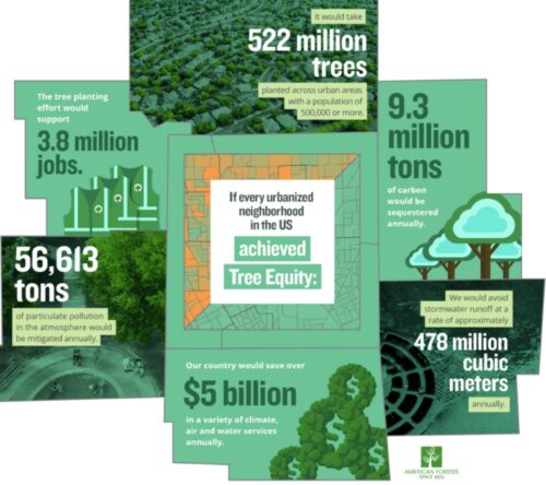 Why a Tree Equity Score Reflects Economic Inequality
