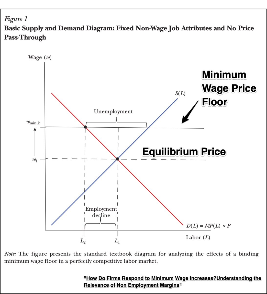 How the Minimum Wage Impact Is Debated