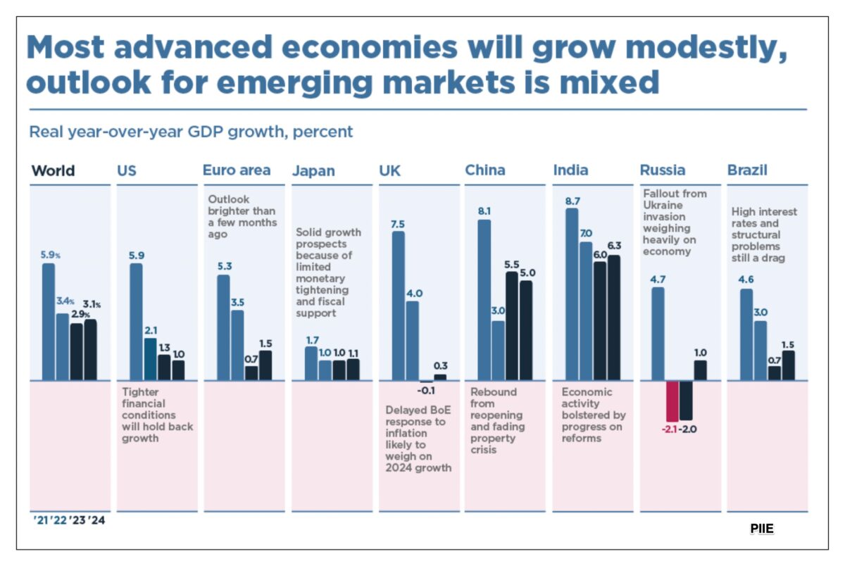 How Emerging Market Economies Differ