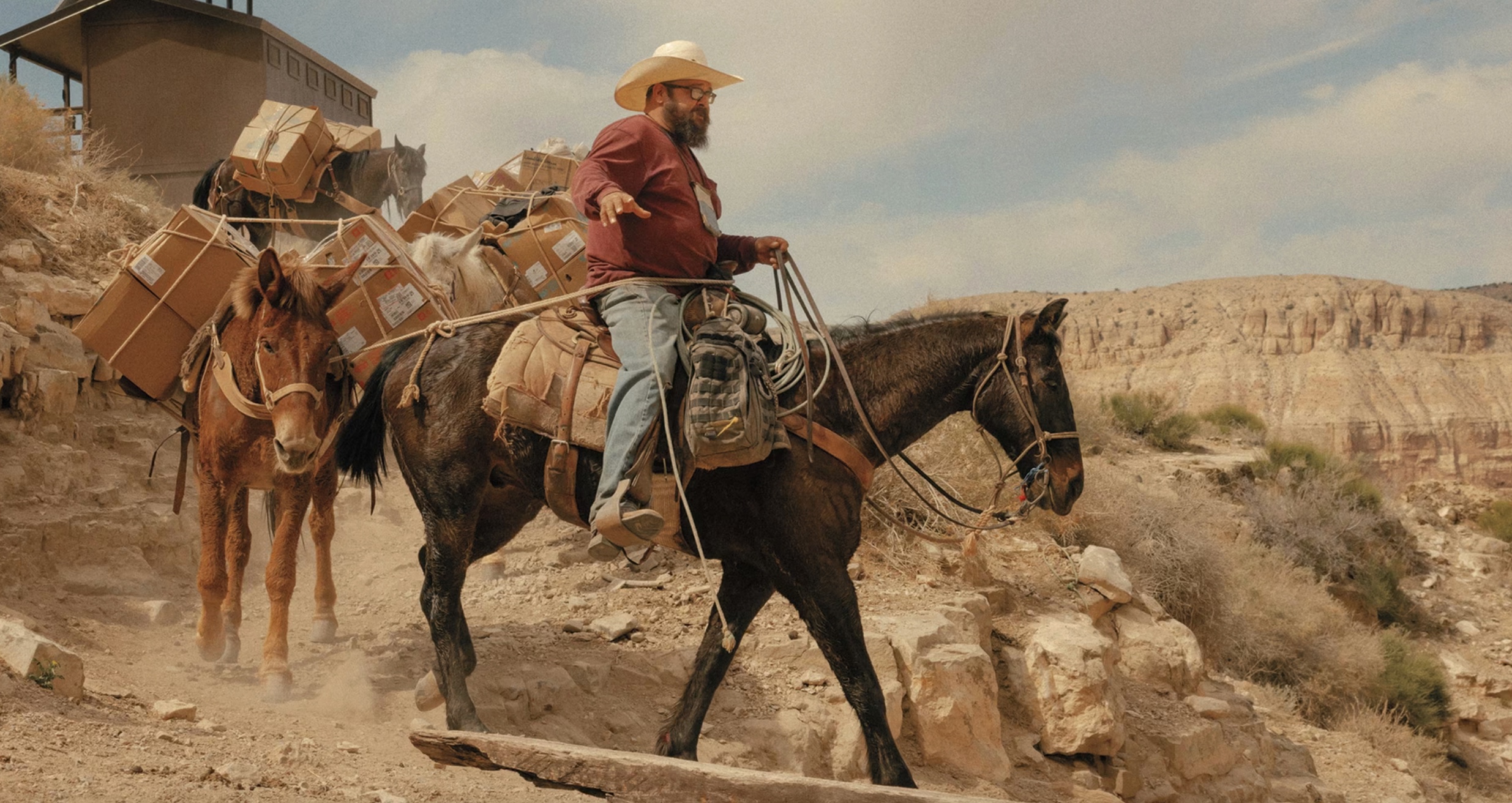 Where Do Mules Deliver the Mail? - Econlife