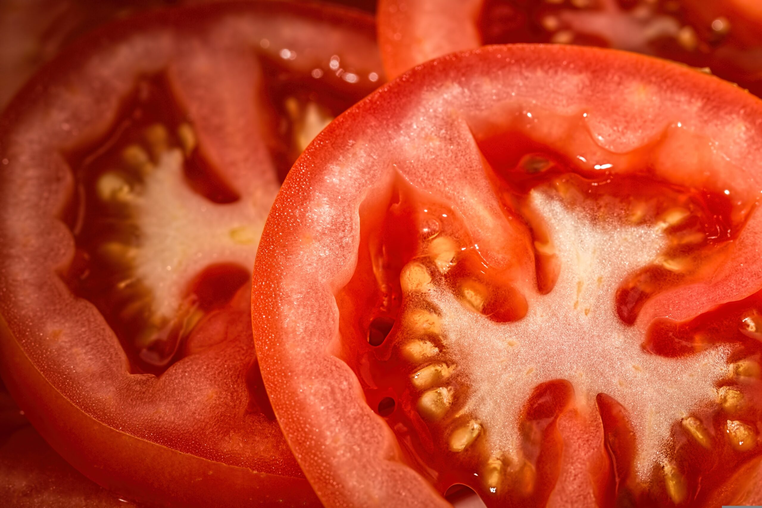 Why Tomato Prices Are Up